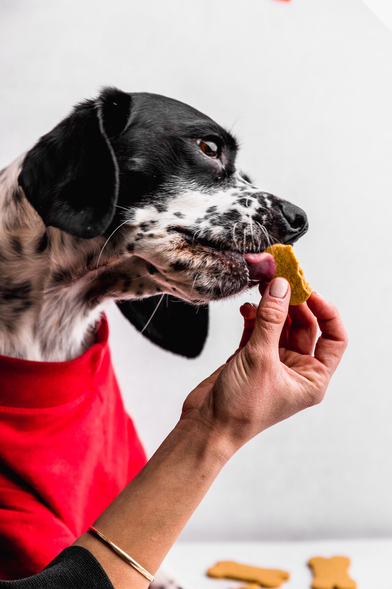 Galletas para perros (sin gluten, veganas) - Cravings Journal